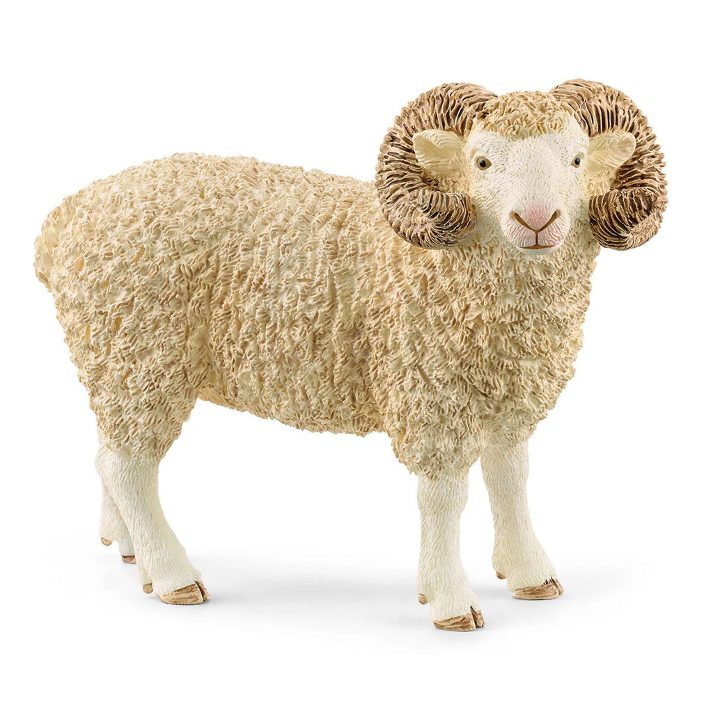 Ram – Bicycle Pie