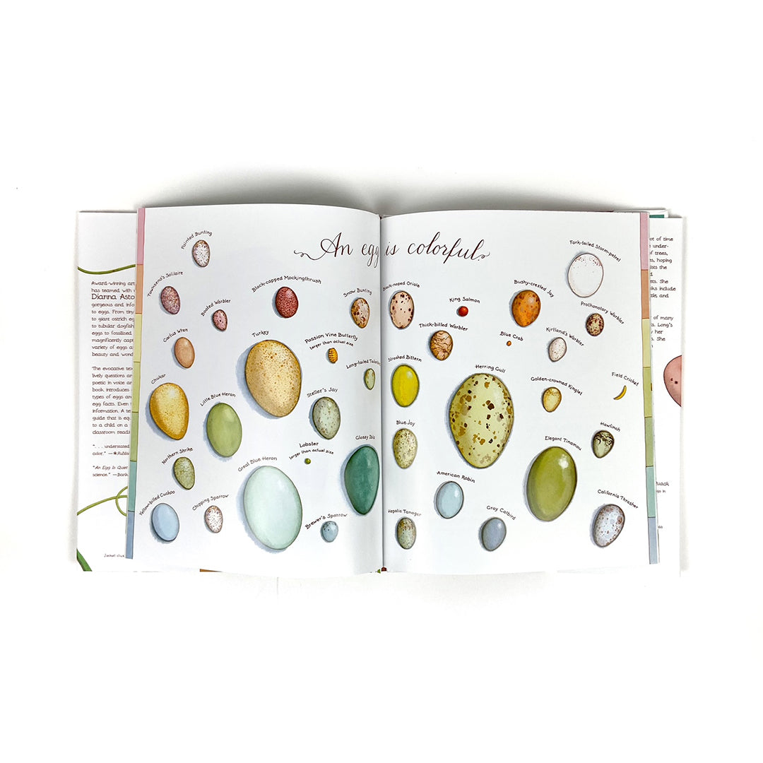 An Egg is Quiet – Bicycle Pie